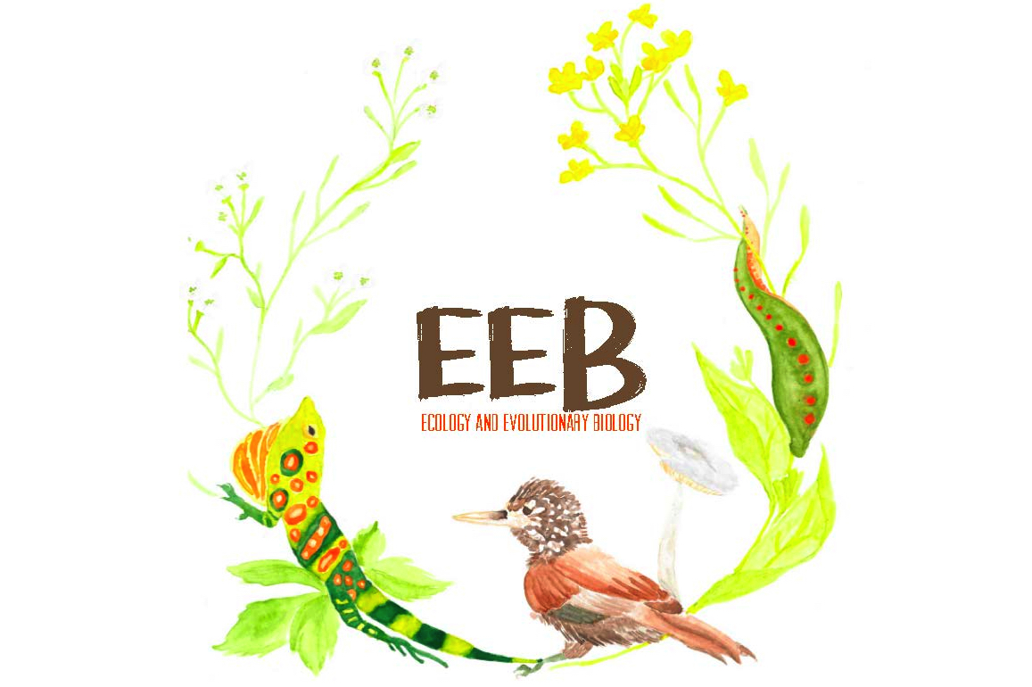 Graduate - Ecology & Evolutionary Biology