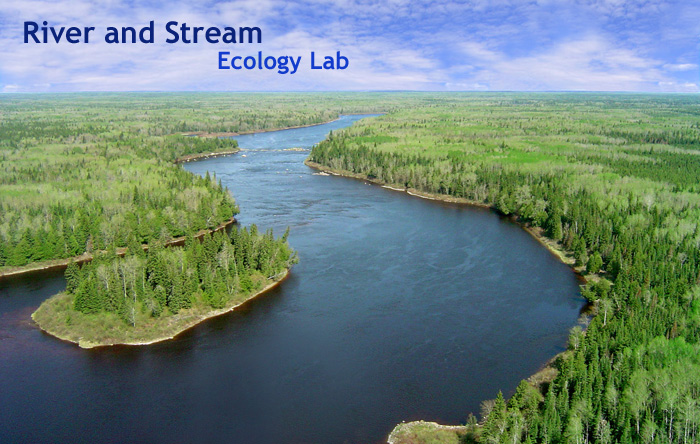 Ontario Ministry of Natural Resources and Forestry (OMNRF) Archives ...